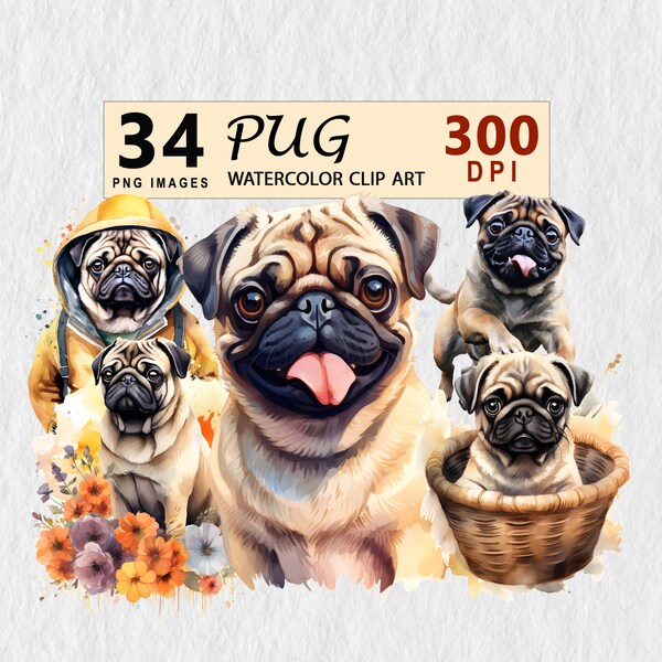 Pug Watercolor - Etsy