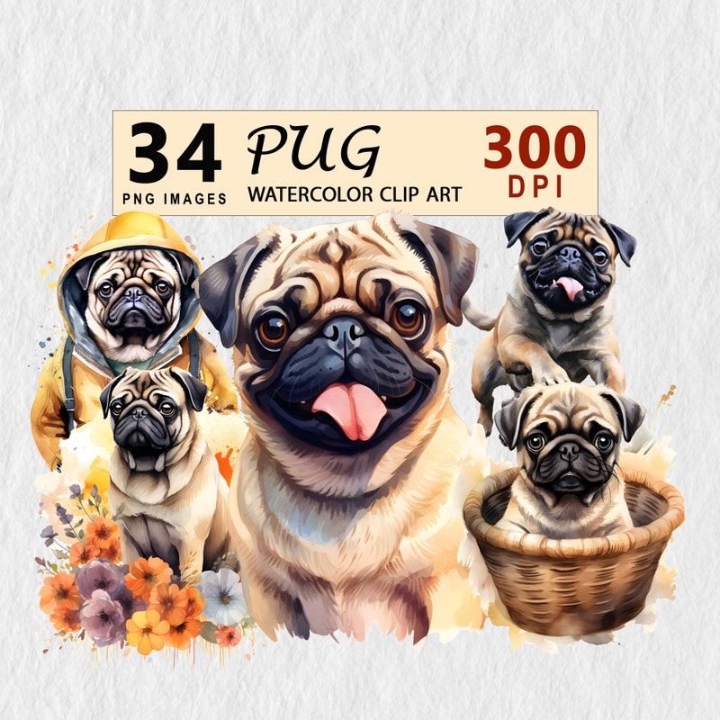 Pug Watercolor - Etsy
