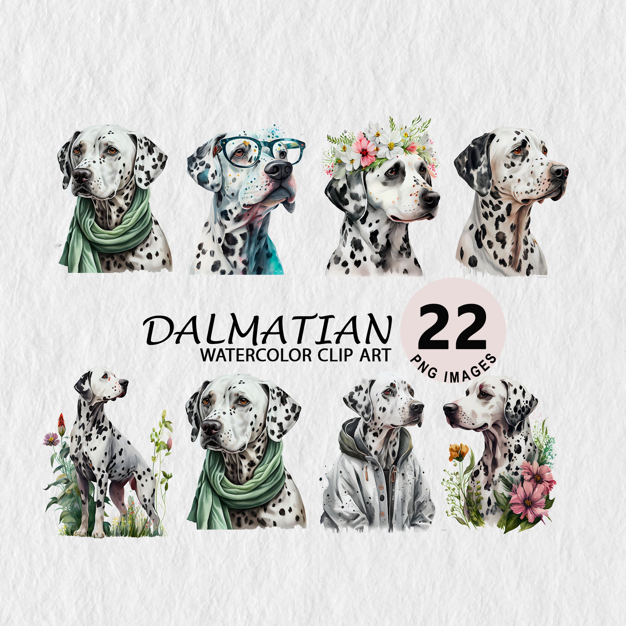 Dalmatian Clipart Watercolor Downloadable Illustration - Etsy