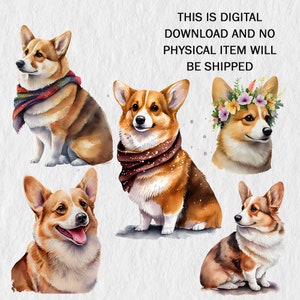 Corgi Cute Dog Clipart PNG Dog Portrait Watercolor Dog Breed Puppy Clip ...