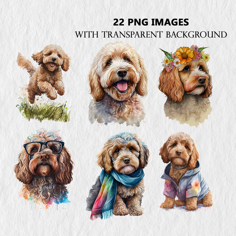 Cockapoo Clipart Watercolor Illustration Transparent PNG - Etsy
