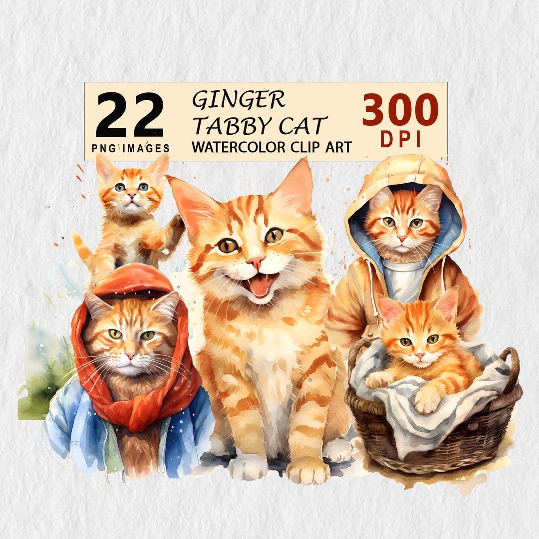 Ginger Tabby Cat Watercolor Clipart Illustration Transparent PNG ...