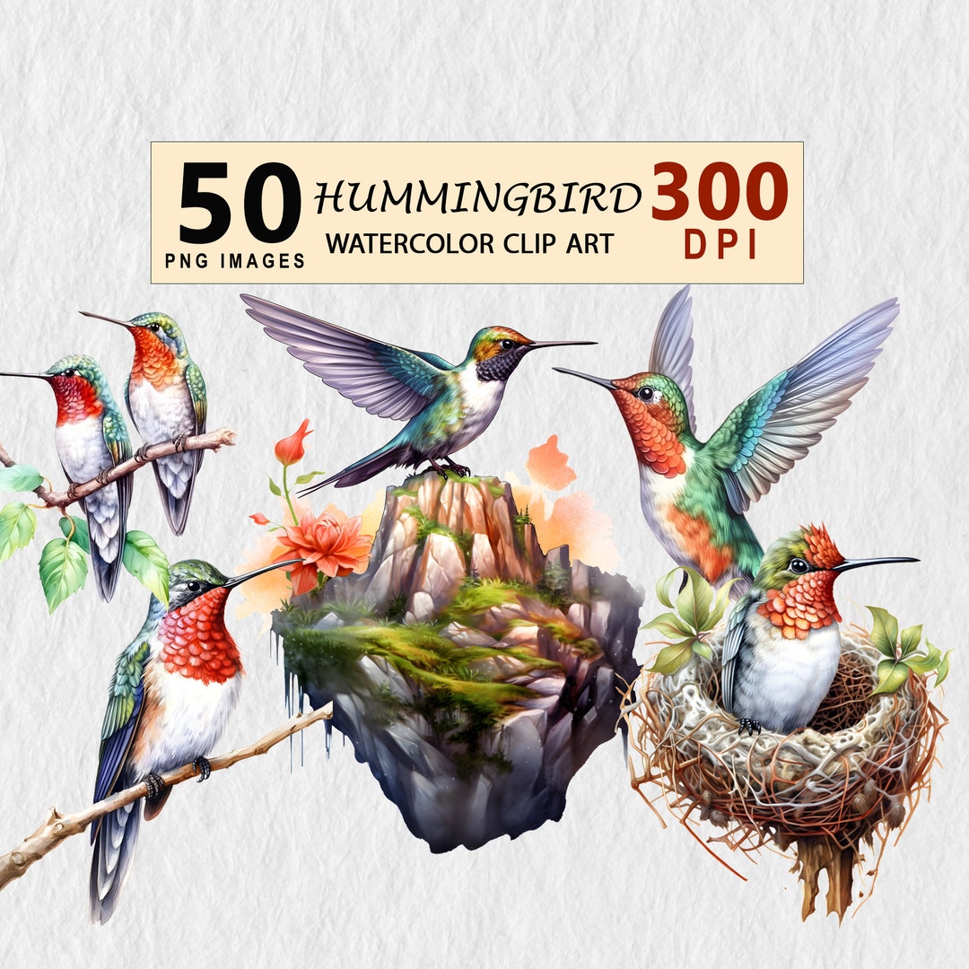 Hummingbird Watercolor Clipart PNG Digital Download Planner Wall ART ...