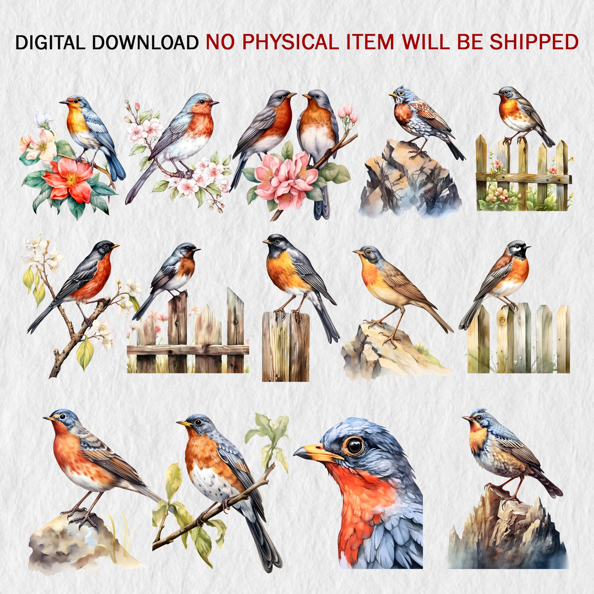 Robin Watercolor Clipart PNG Nursery Wall Art Scrapbooking - Etsy