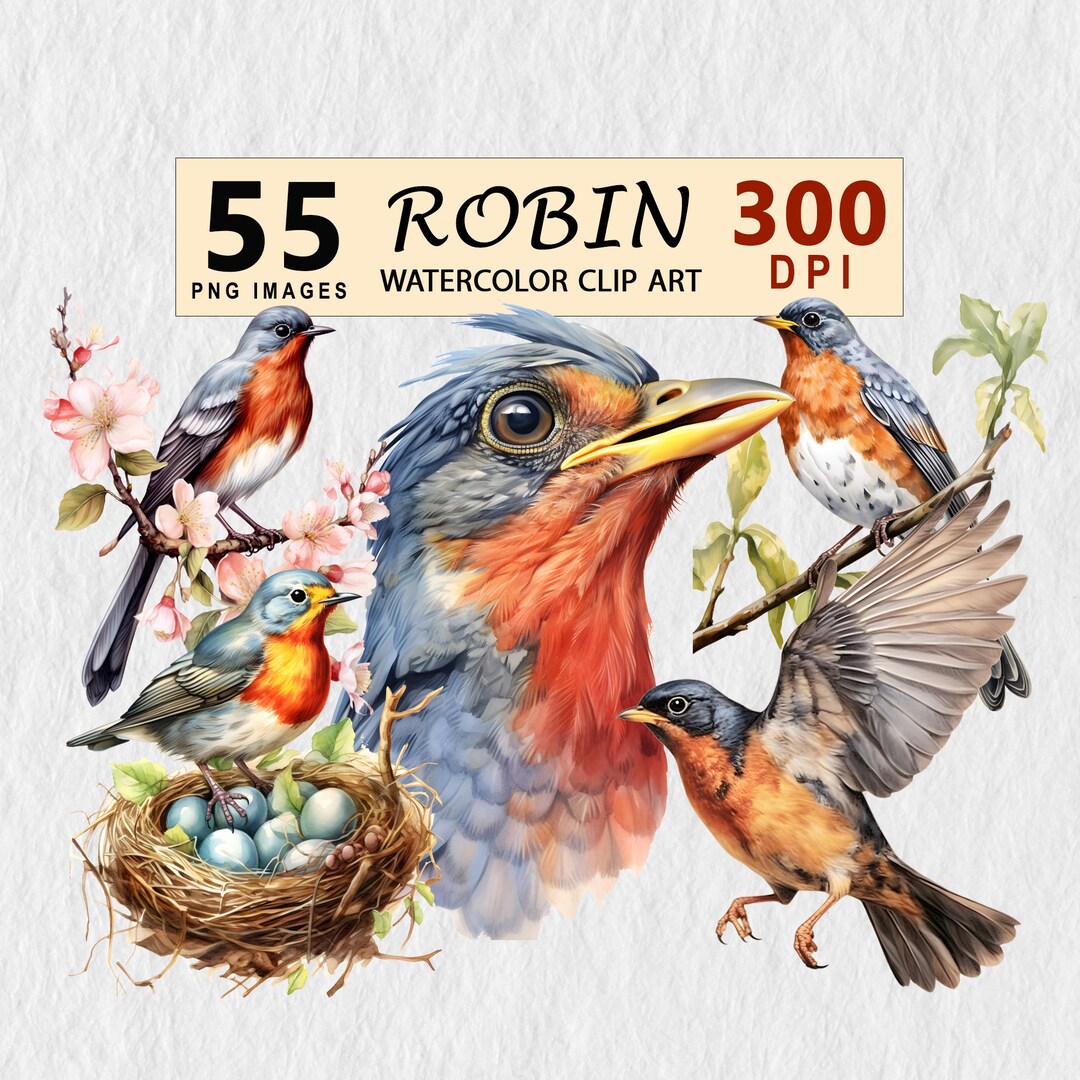 Robin Watercolor Clipart PNG Nursery Wall Art Scrapbooking Digital ...
