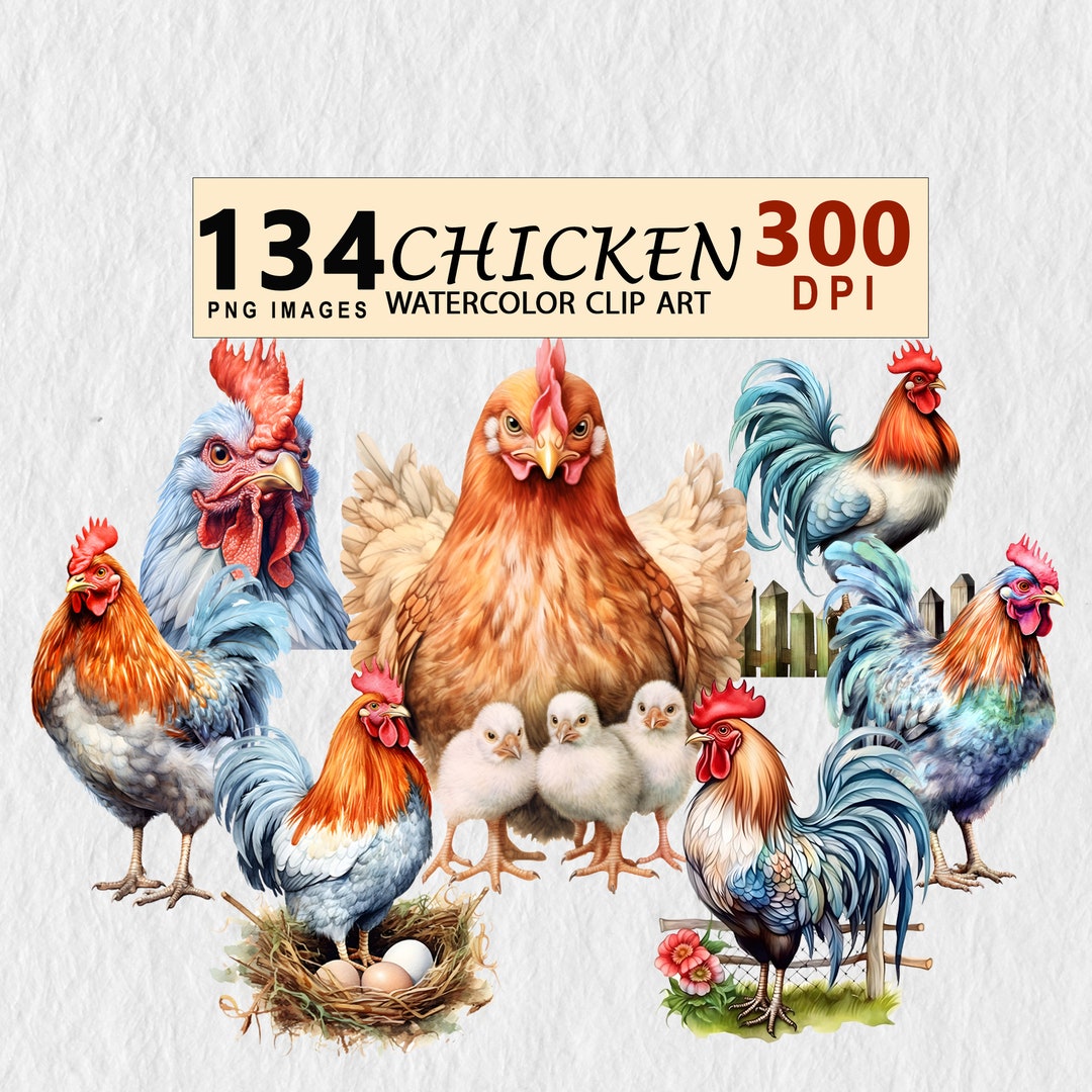 Chicken Watercolor Clipart PNG Digital Download Planner Wall ART ...