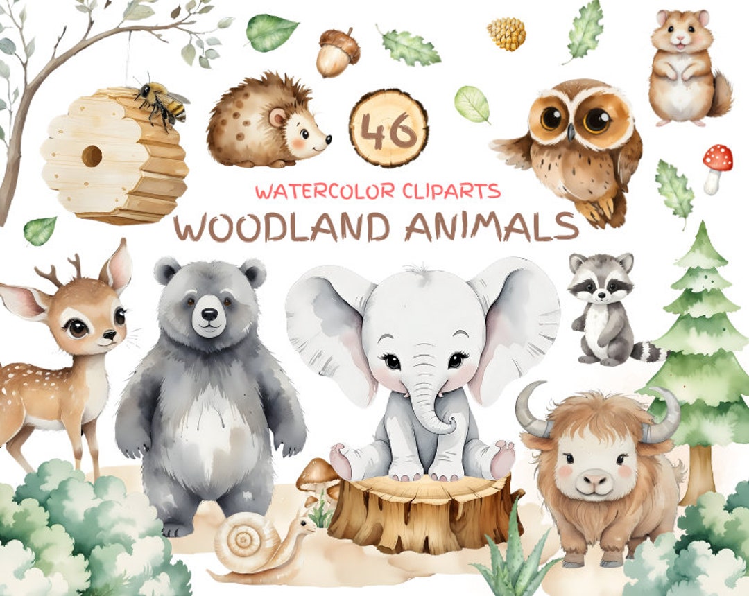 Woodland Animals' Watercolor Clipart, Baby Animals Png, Forest Animals ...