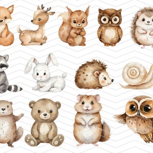 Woodland Animals' Watercolor Clipart, Baby Animals Png, Forest Animals ...