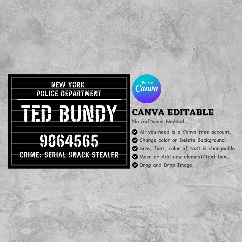 DIY Mugshot Sign, Editable Mugshot Sign Board, Police Party, Photo ...