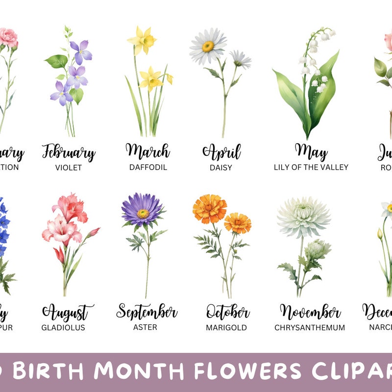 Flower of the Month - Etsy