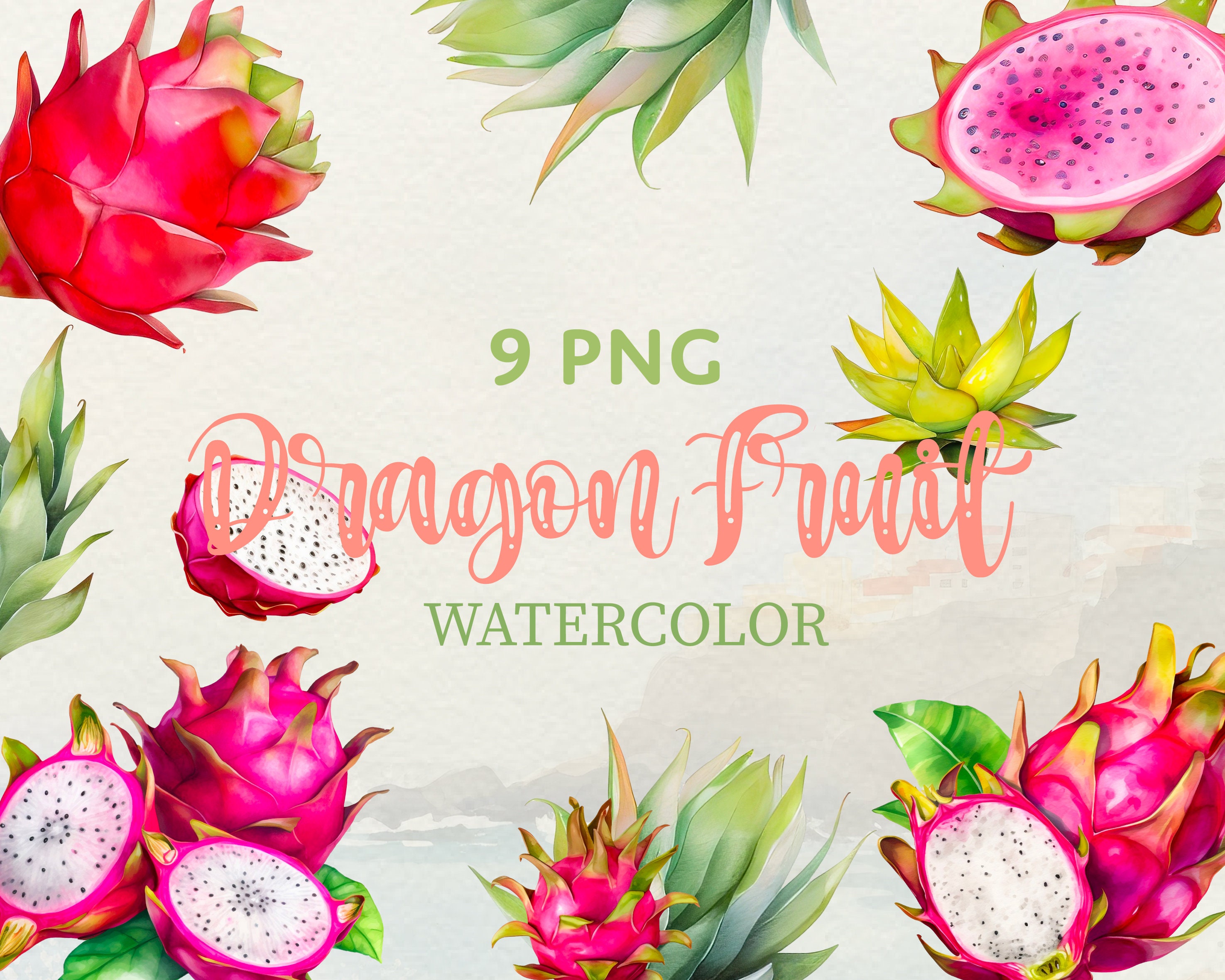 Watercolor Dragon Fruit 9 PNG Clipart Hand Made Collection - Etsy