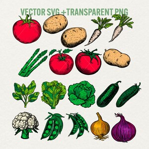 Vegetables Svg Bundle, Veggie Png/ Svg Clipart, Farmers Market, Healthy ...