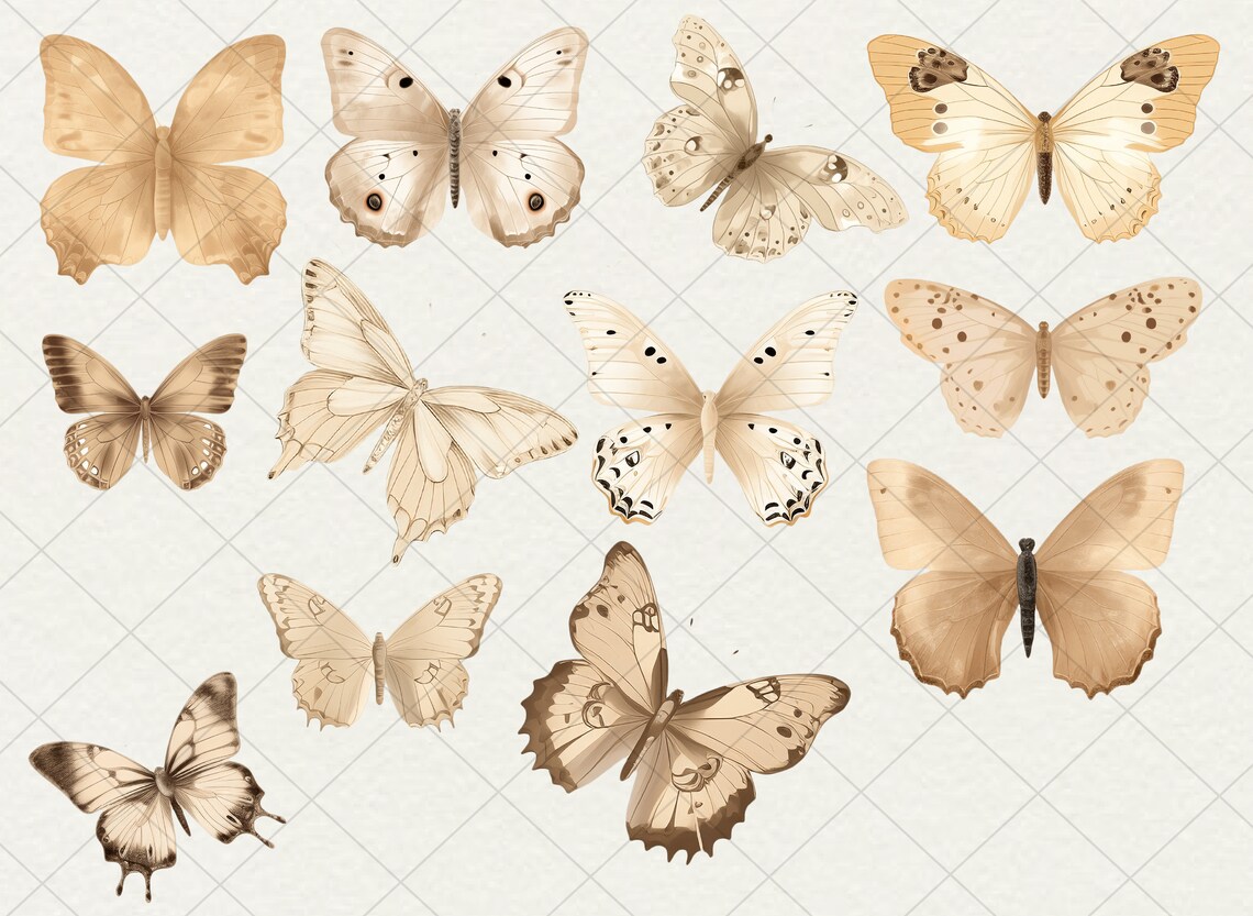 Watercolor Boho Butterfly Clipart: Cream & Beige PNG Stickers ...