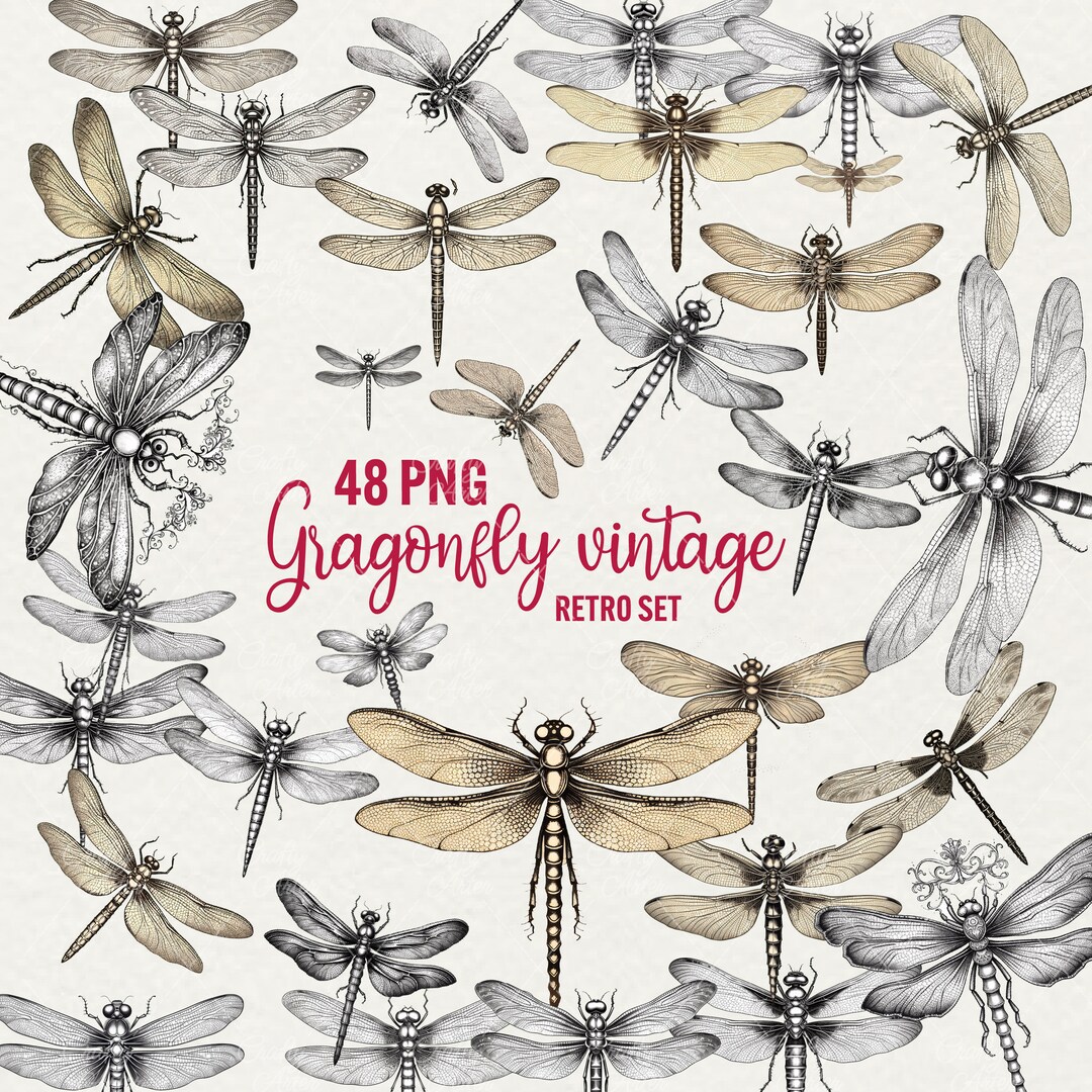 Vintage Dragonfly Clipart: Retro Watercolor PNG Set (48 Files) - Etsy