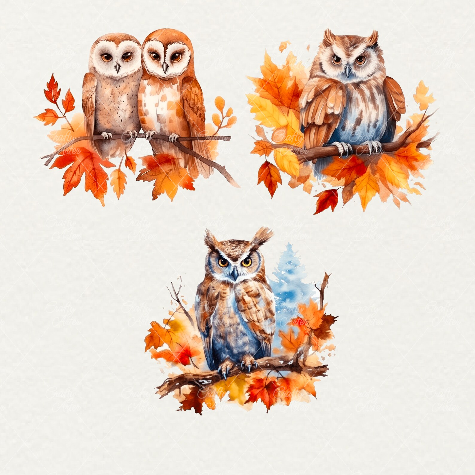 Watercolor Autumn Owl Clipart: 19 PNG Fall Animal Graphics (commercial ...
