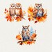 Watercolor Autumn Owl Clipart, Clipart Owl Fall Animals 19 PNG, Cute ...