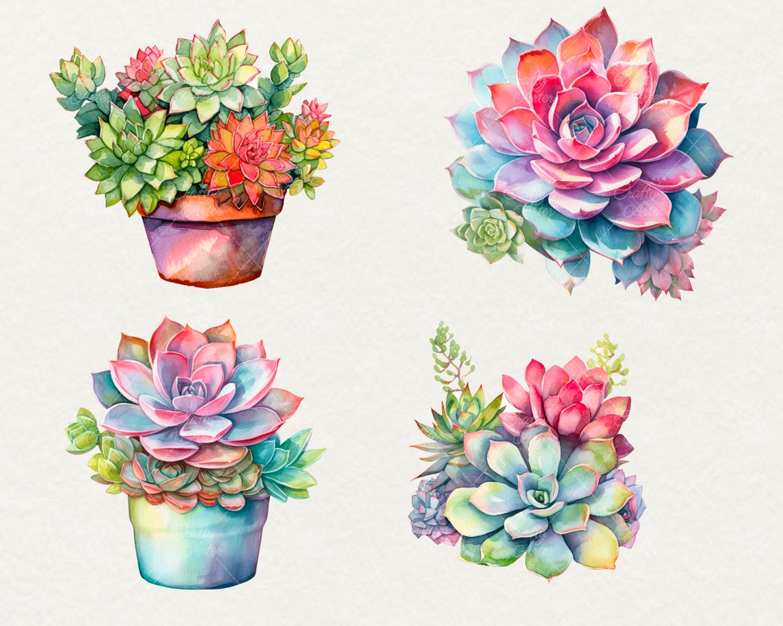 Watercolor Succulent Clipart: Pastel Floral Art (20 PNG) - Etsy