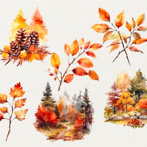 Watercolor Autumn Forest Clipart: 38 PNG Graphics (commercial Use) - Etsy