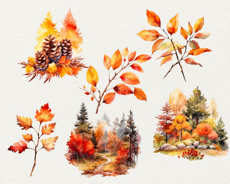 Watercolor Autumn Forest Clipart: 38 PNG Graphics (commercial Use) - Etsy