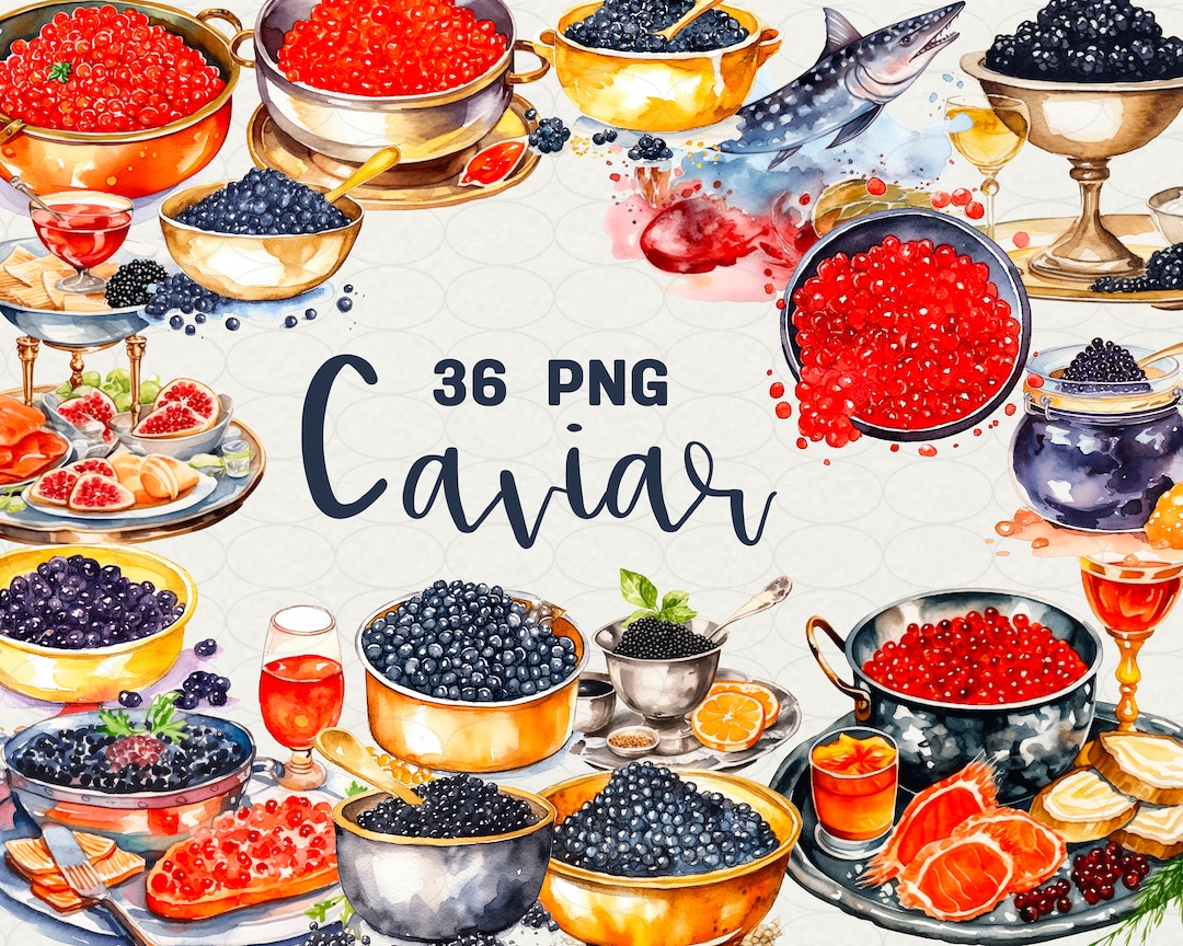 Watercolor Caviar Clipart, 36 PNG Delicious Sea Food, Luxury Caviar ...