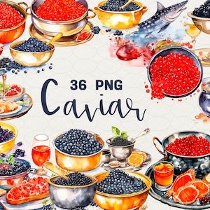 Watercolor Caviar Clipart, 36 PNG Delicious Sea Food, Luxury Caviar ...