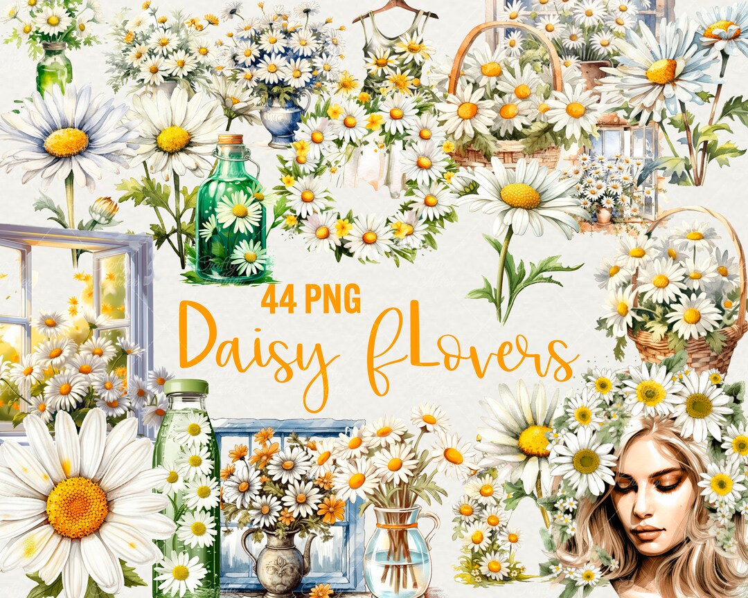 Watercolor Daisy Flowers Clipart, 44 Png Watercolor Daisy Flowers ...