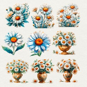 Watercolor Daisy Flower Clipart, 33 PNG Daisy Flowers Girls, Spring ...