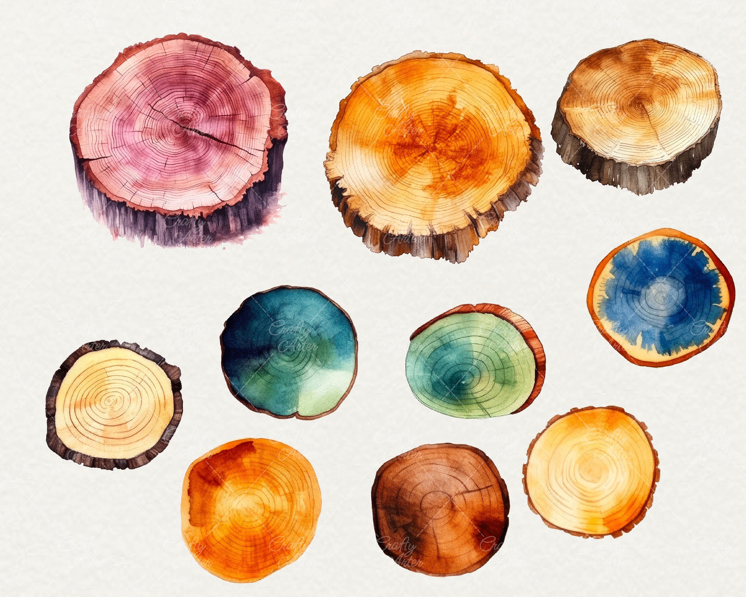 Watercolor Wood Slice Clipart: 38 PNG Wooden Board Graphics (commercial ...