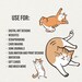 Cats Poses Clipart, Cute Cat Png, Cat Svg Vector, Yoga Cats, Kitten ...