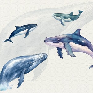 Watercolor Whales Clipart, Orca, Narwhal, Blue Whale, 20 Png Whale ...