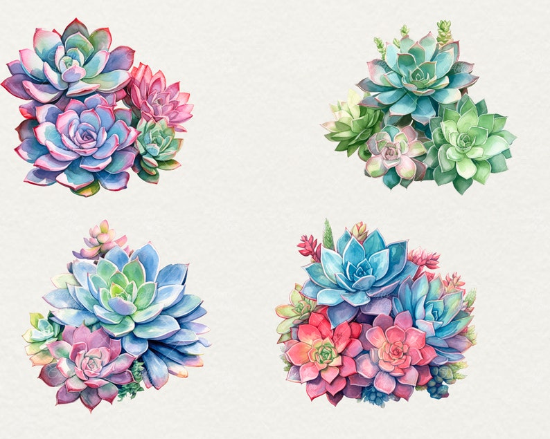 Watercolor Succulent Clipart: Pastel Floral Art (20 PNG) - Etsy