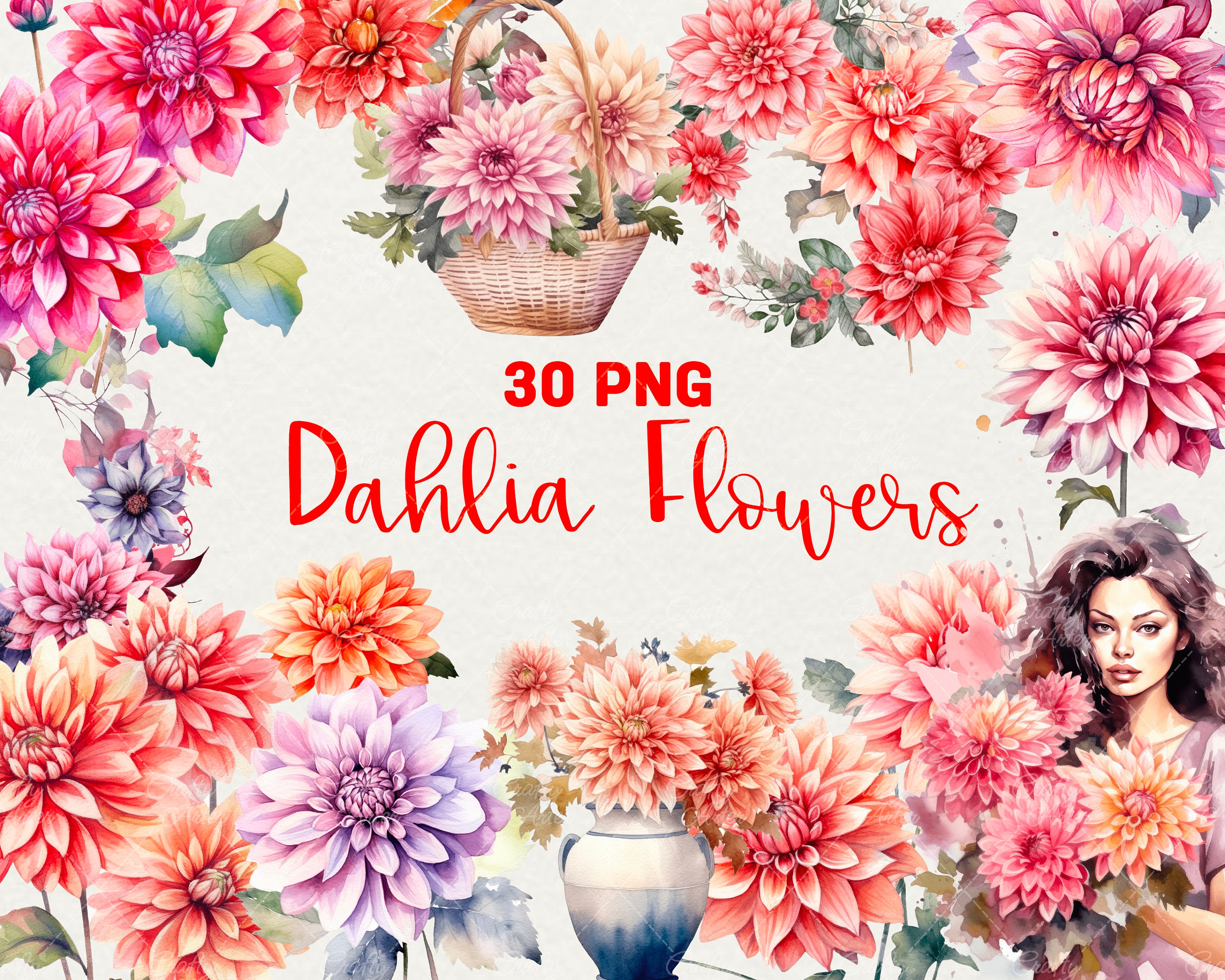 Watercolor Dahlia Clipart Png Watercolor Dahlia Flowers - Etsy