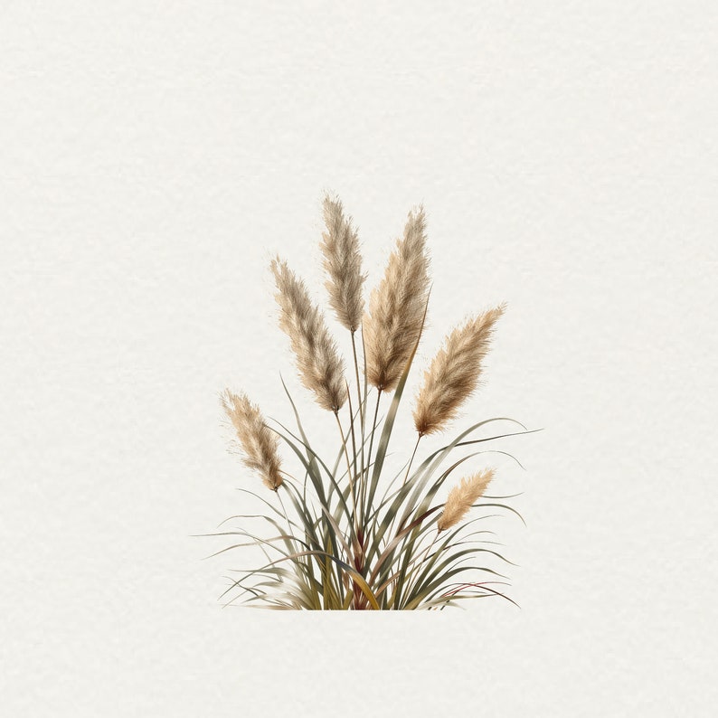 Boho Grass Clipart: 50 Watercolor Floral PNG Illustrations (digital ...