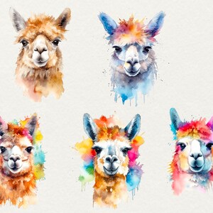 Watercolor Llama Clipart, 28 PNG Llamas Watercolor Clipart Animals ...