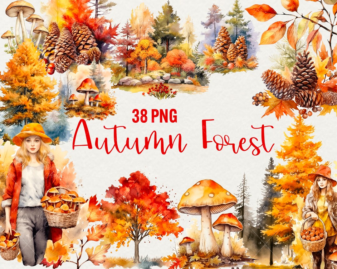Autumn Forest Clipart, 38 PNG Bundle Watercolor Autumn Graphics, Autumn ...