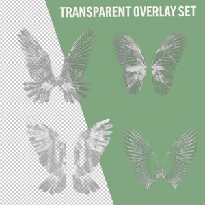 X-ray Angel Wings Overlay: 20 PNG Realistic Feather Wings (digital ...