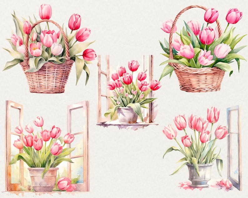Watercolor Pink Tulips Clipart 27 PNG Watercolor Tulips - Etsy