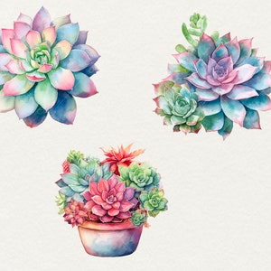 Watercolor Succulent Clipart: Pastel Floral Art (20 PNG) - Etsy