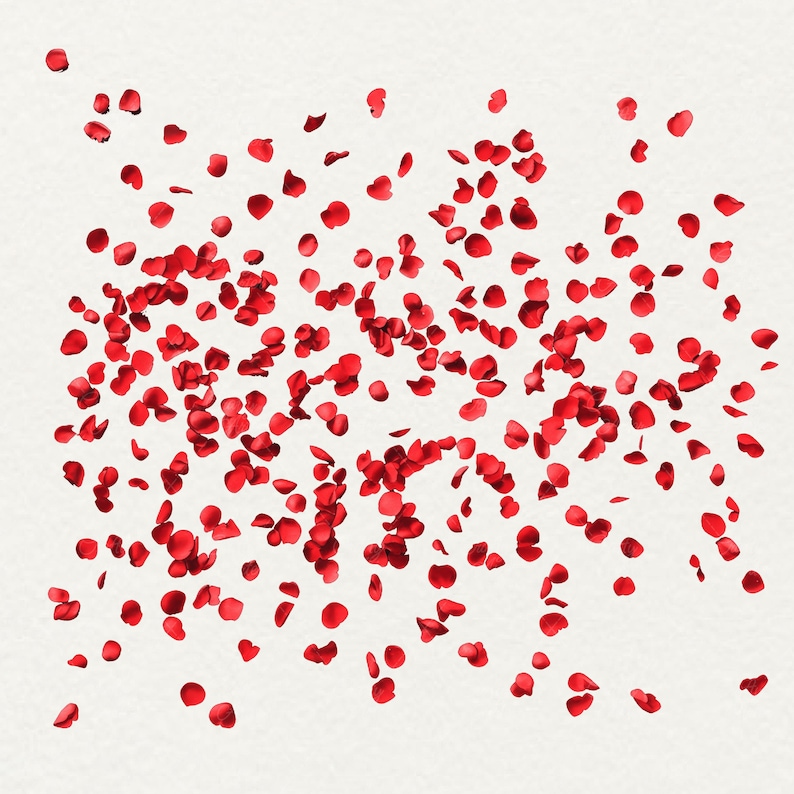 Falling Red Rose Petals PNG Overlays: Romantic Photo Effects ...