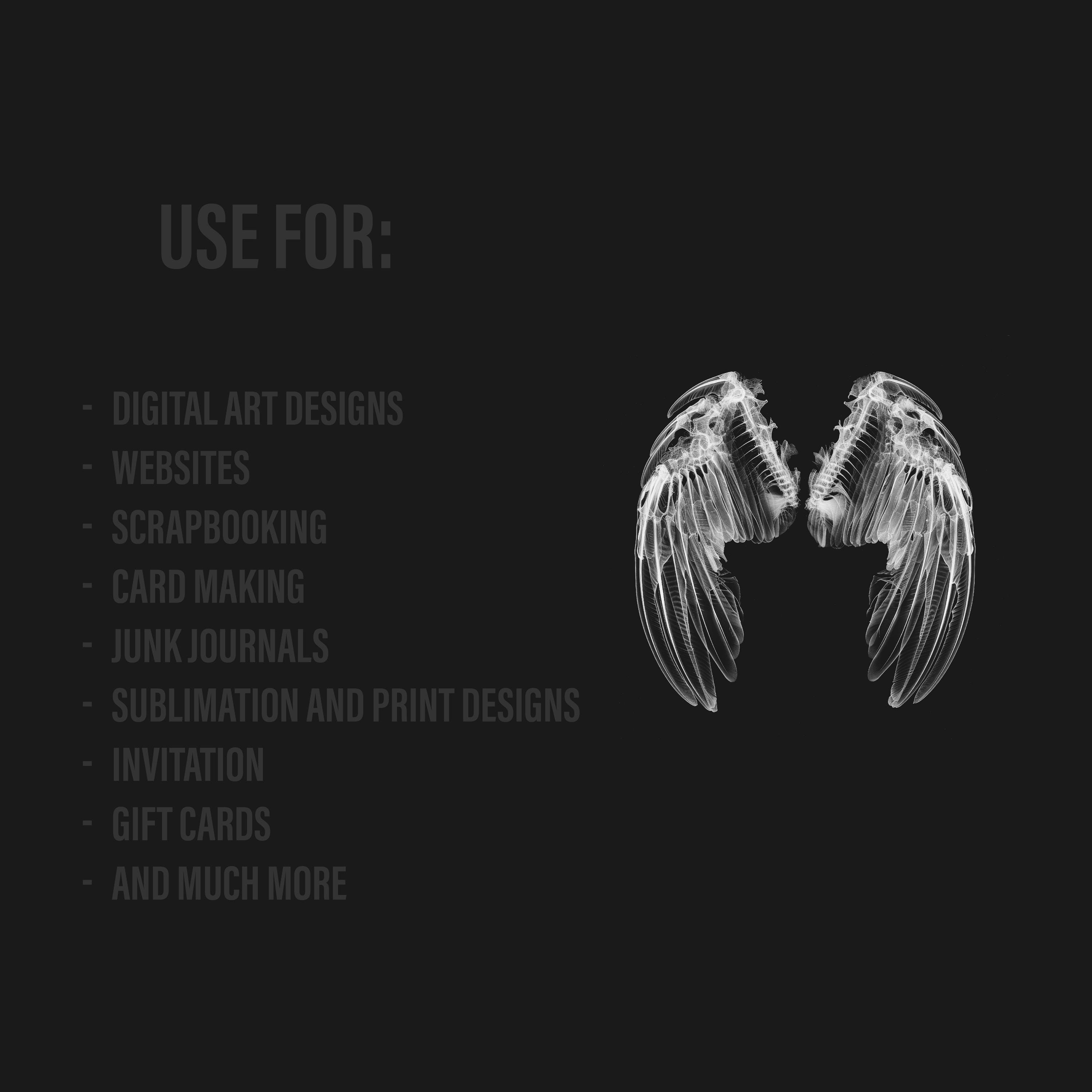 X-ray Angel Wings Overlay: 20 PNG Realistic Feather Wings (digital ...