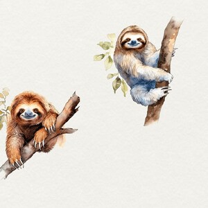 Watercolor Sloth Clipart Bundle, Cute Animal PNG (16 Files) - Etsy