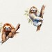 Watercolor Sloth Clipart Bundle, Cute Animal Clipart, 16 Png Instant ...