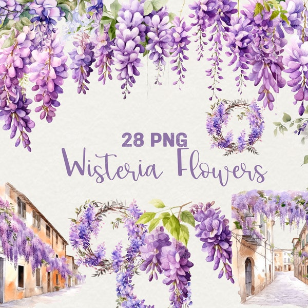 Wisteria - Etsy