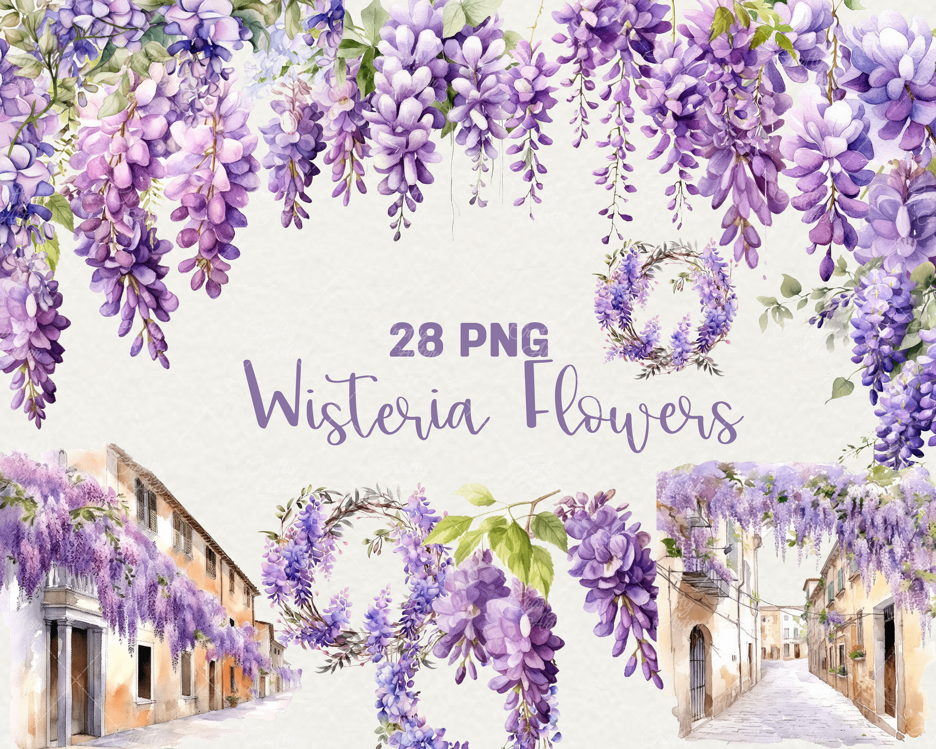 Watercolor Wisteria Clipart 28 Png Watercolor Purple Wisteria - Etsy