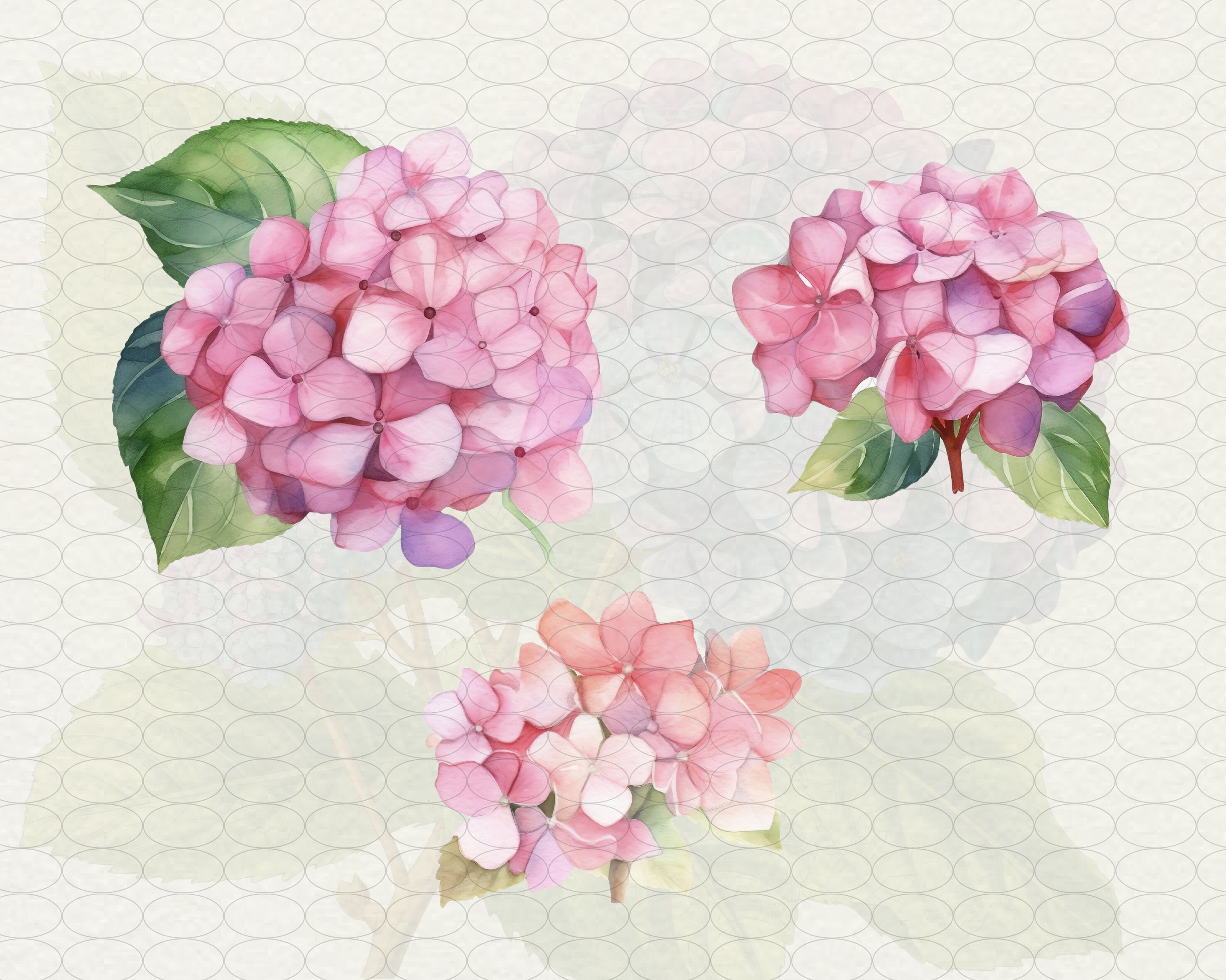 Watercolor Hydrangea Flowers Clipart Set 13 PNG for Invitation - Etsy