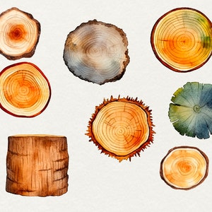 Watercolor Wood Slice Clipart: 38 PNG Wooden Board Graphics (commercial ...