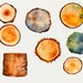 Watercolor Wood Slice Clipart, 38 PNG Wood Clipart, Watercolor Wooden ...