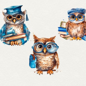 Watercolor School Owl Clipart, Back to School Clipart, Watercolor Owl ...