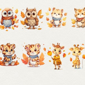 Watercolor Autumn Animals Clipart: 38 PNG Fall Illustrations ...