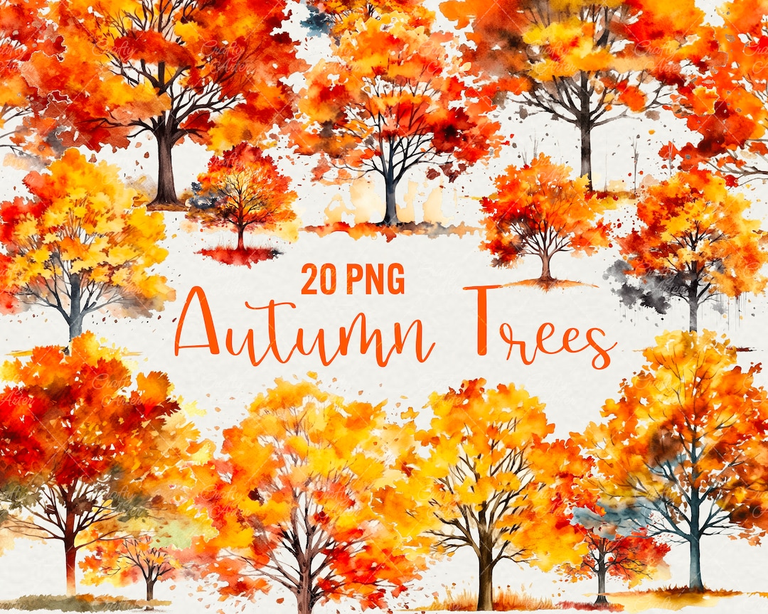 Watercolor Autumn Trees Clipart, 20 PNG Bundle Watercolor Autumn ...